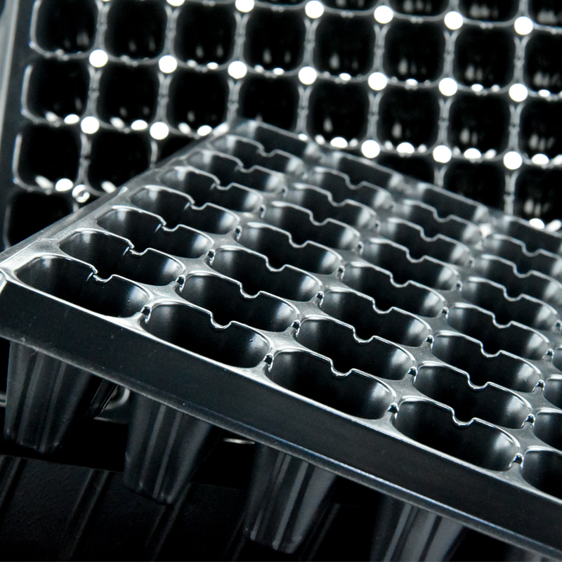 Seed Plant Germination Vegetables Flower Growing Tray Garden Seedling ...