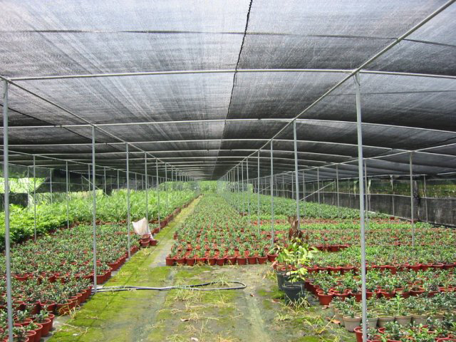 How to Use Shade Net in Greenhouse? - 100% HDPE plastic mesh ...