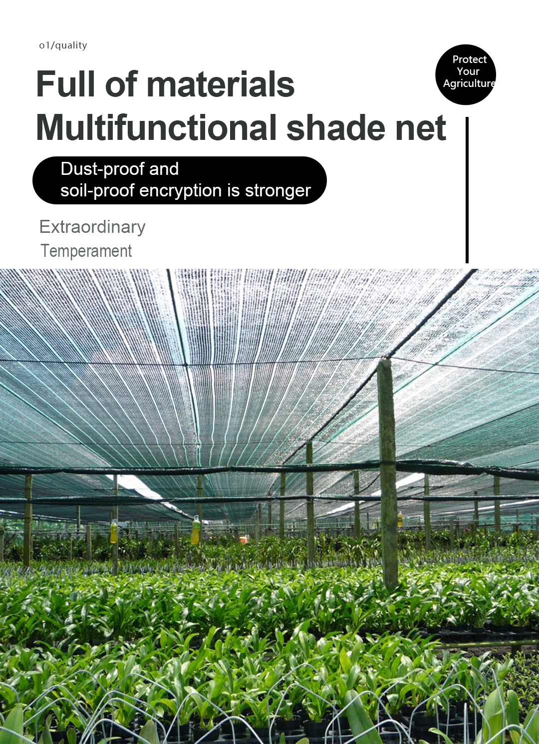 80GSM 2 Needles Green HDPE Tape Shade Net from China manufacturer - 100 ...