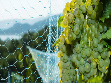 Heavy Duty Anti Bird Protection Mesh Net for Farms Vineyard ...