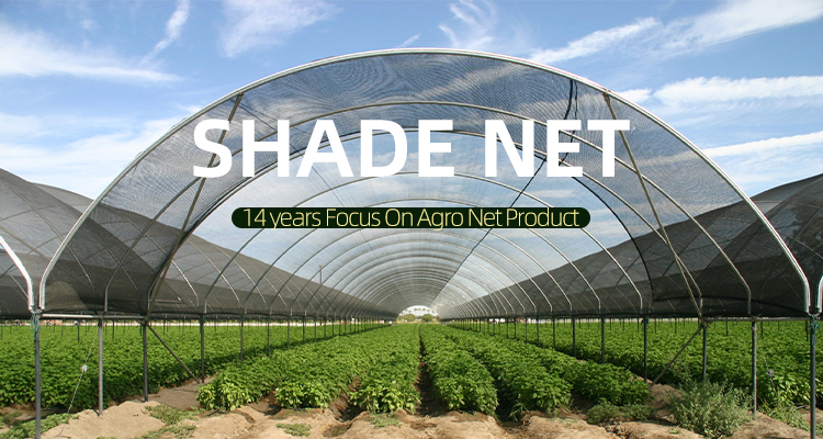 Farm Shade Net Uv Protected 90% Agricultural Shade Mesh from China manufacturer - 100% HDPE ...